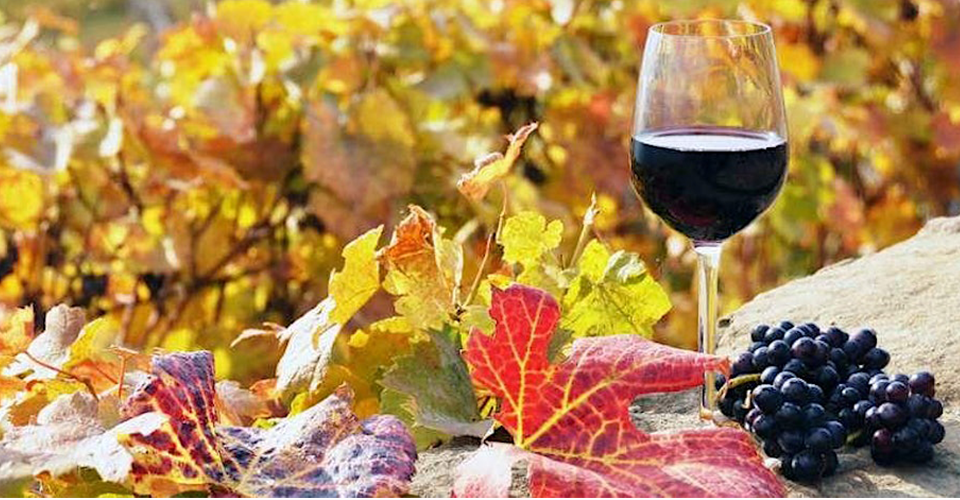 Women in NEOMED’s Fall Social will be Oct. 26 | the PULSE | NEOMED